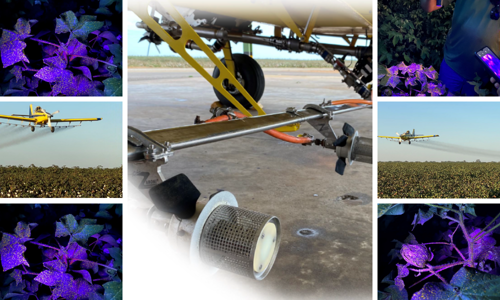 Zanoni atomizer approved for cotton crops - Zanoni Equipamentos