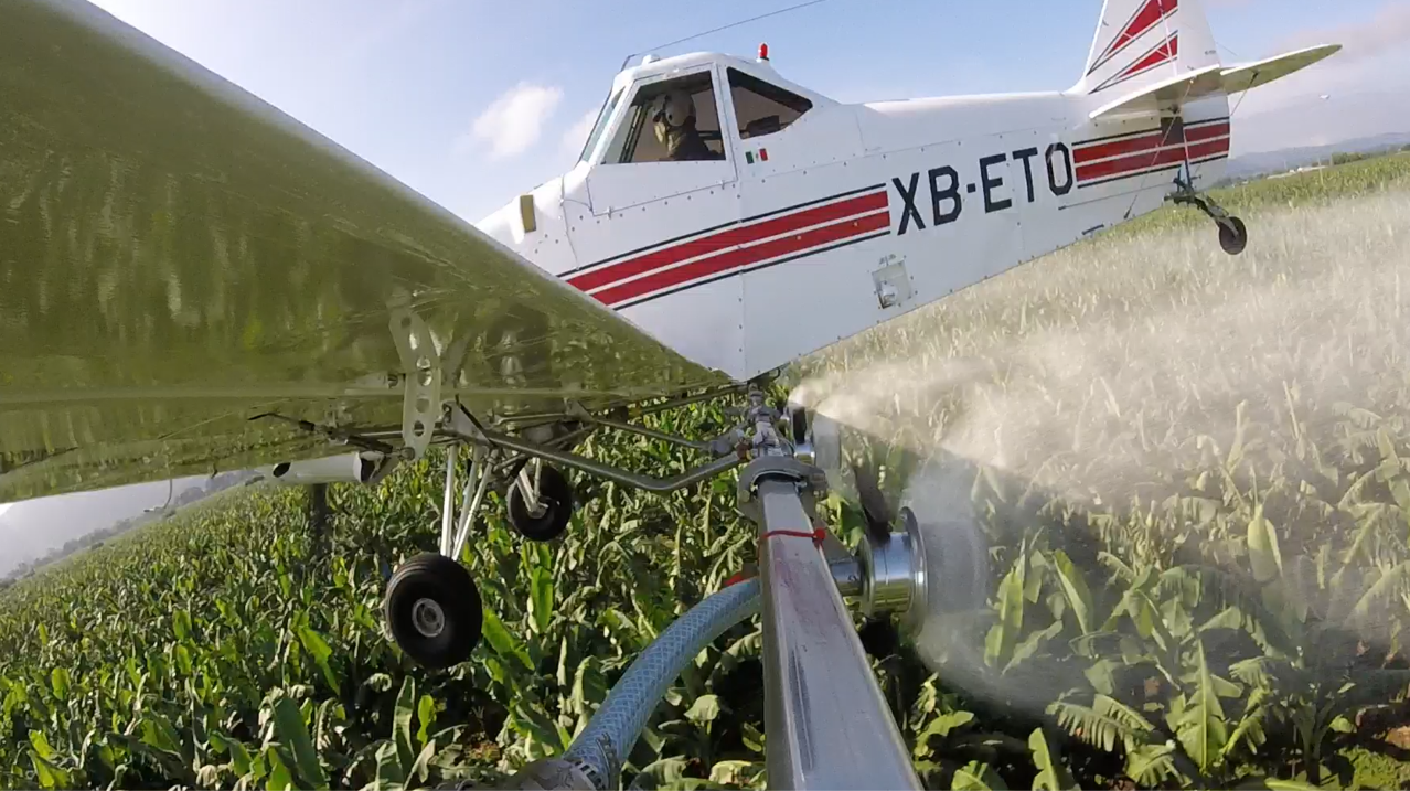 Zanoni atomizer is validated in banana crops - Zanoni Equipamentos